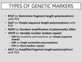 Importance of Genetic Markers in Forensics | PPT