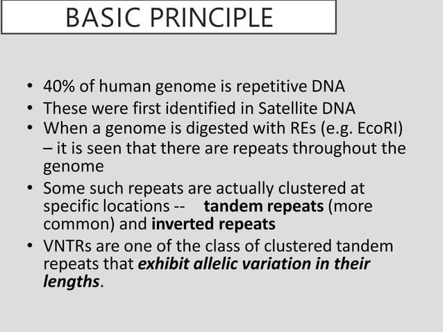 Importance of Genetic Markers in Forensics | PPT