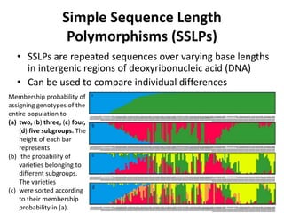 Genetic Markers and their importance in Forensics | PPTX