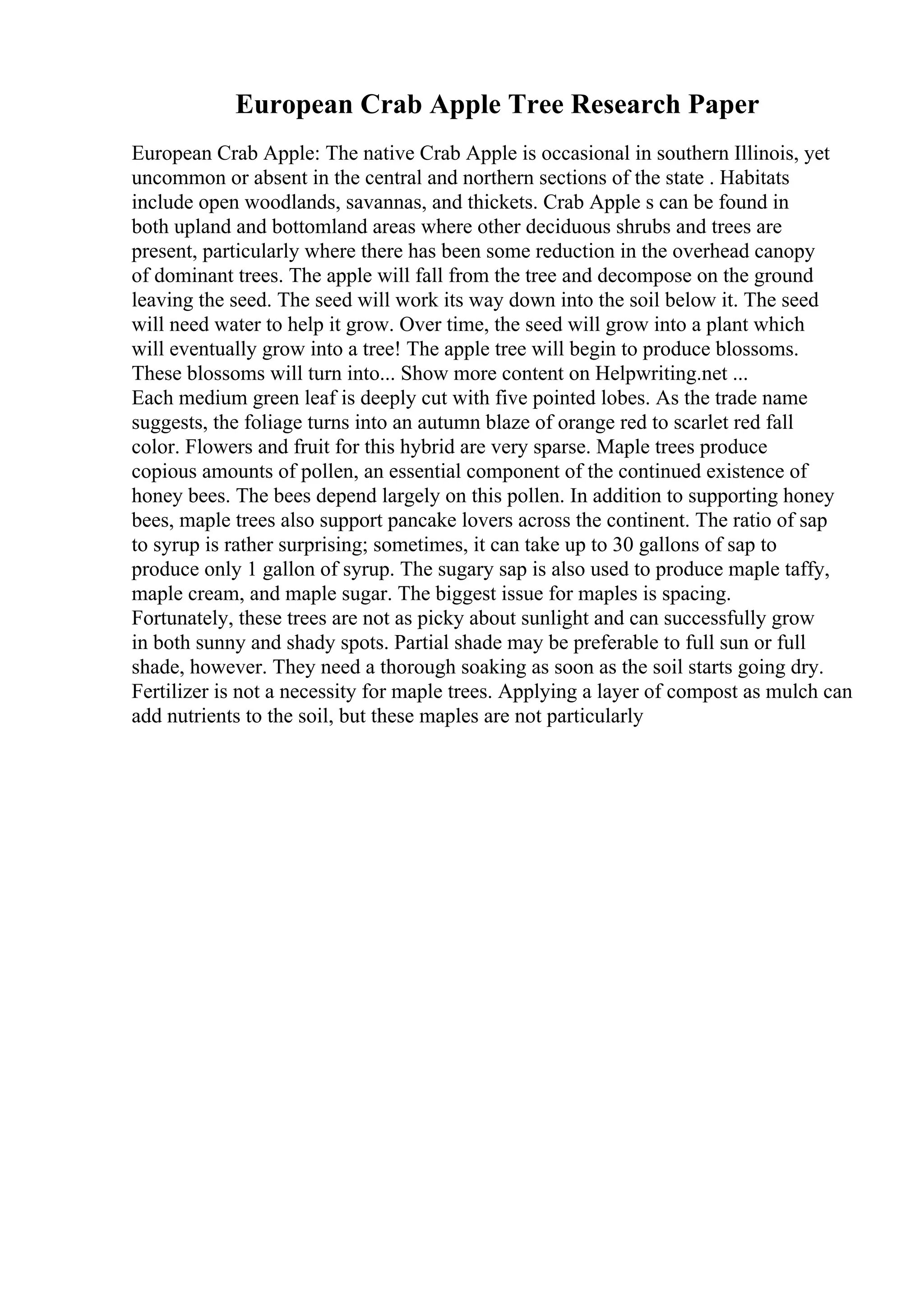 Importance Of Hard Work Essay. Is Talent or Hard Work More Important ...