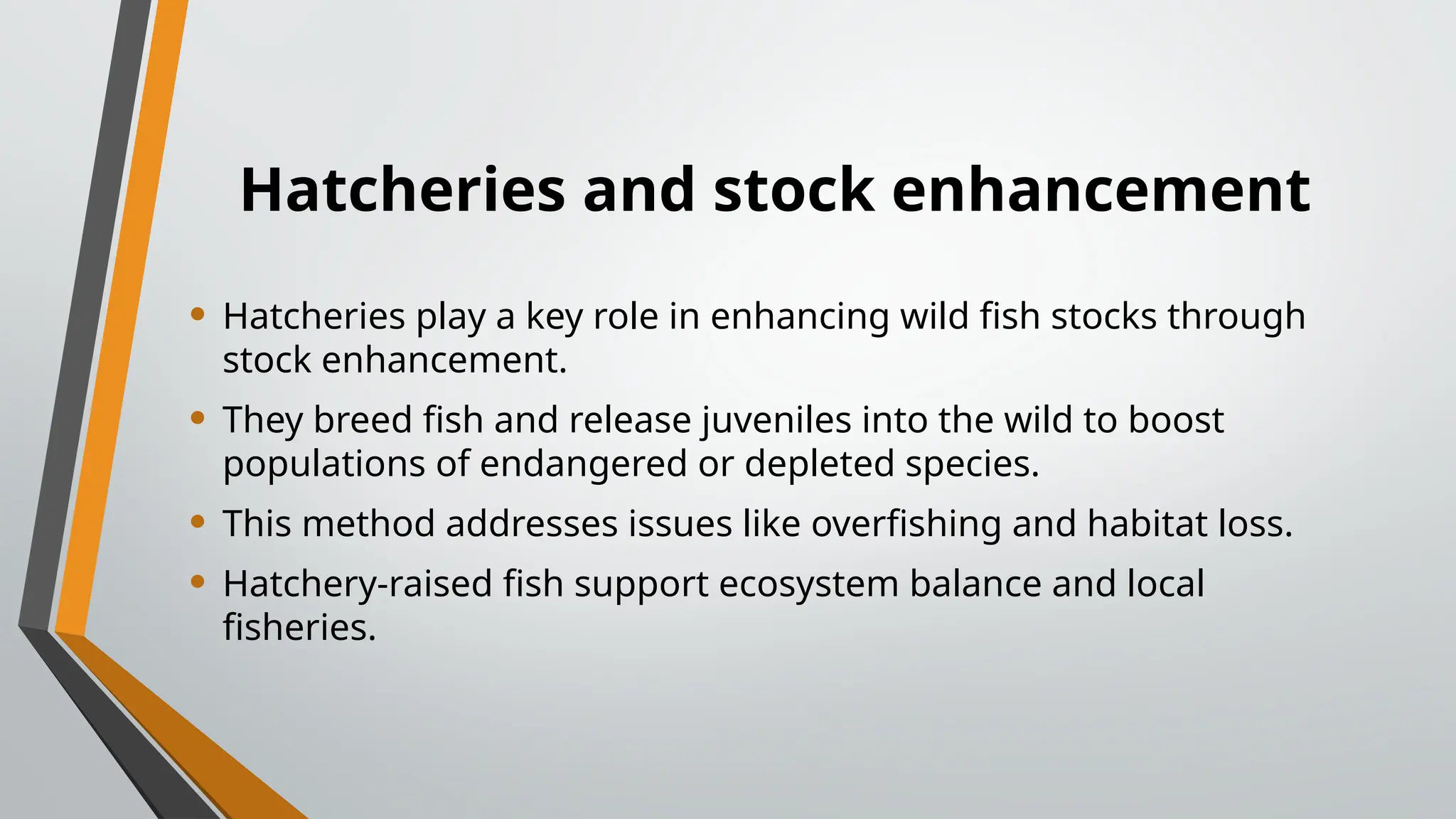 Importance of Hatchery in rearing fish.pptx