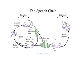 Importance of hearing mechanism in speech and language development | DOCX
