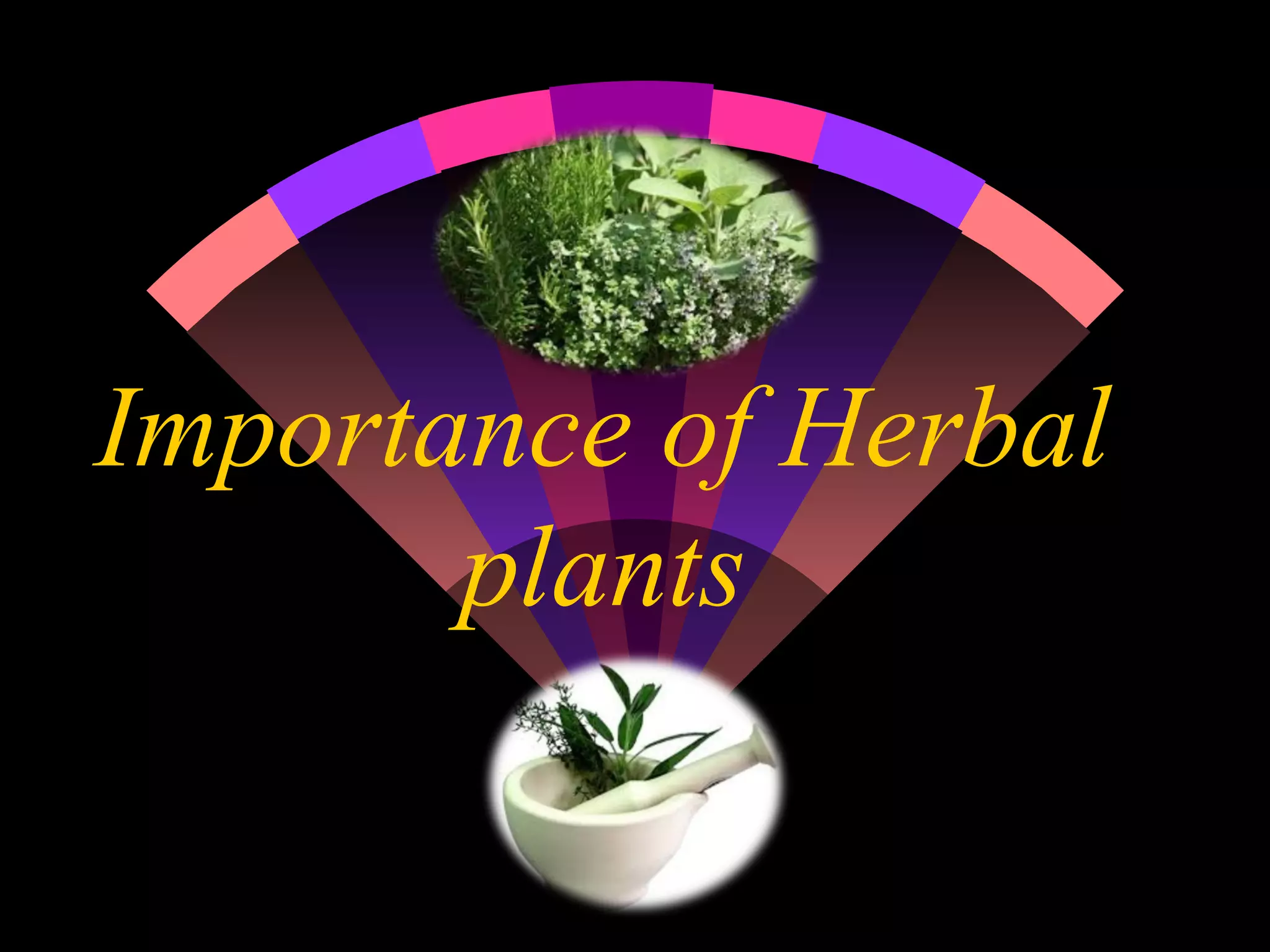 Importance of herbal plants | PPT