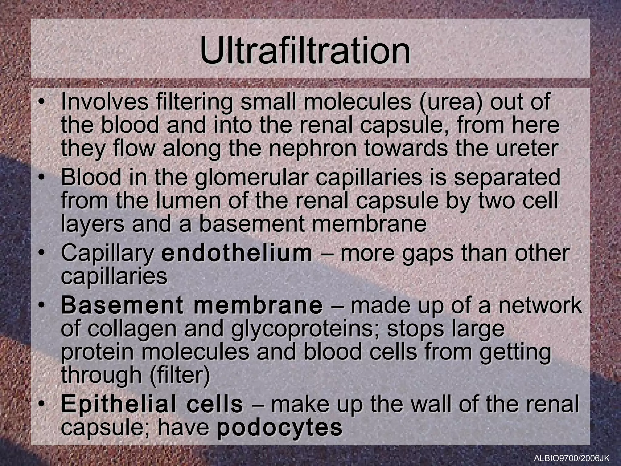 01 Importance of Homeostasis; Excretion; Control of Water | PPT