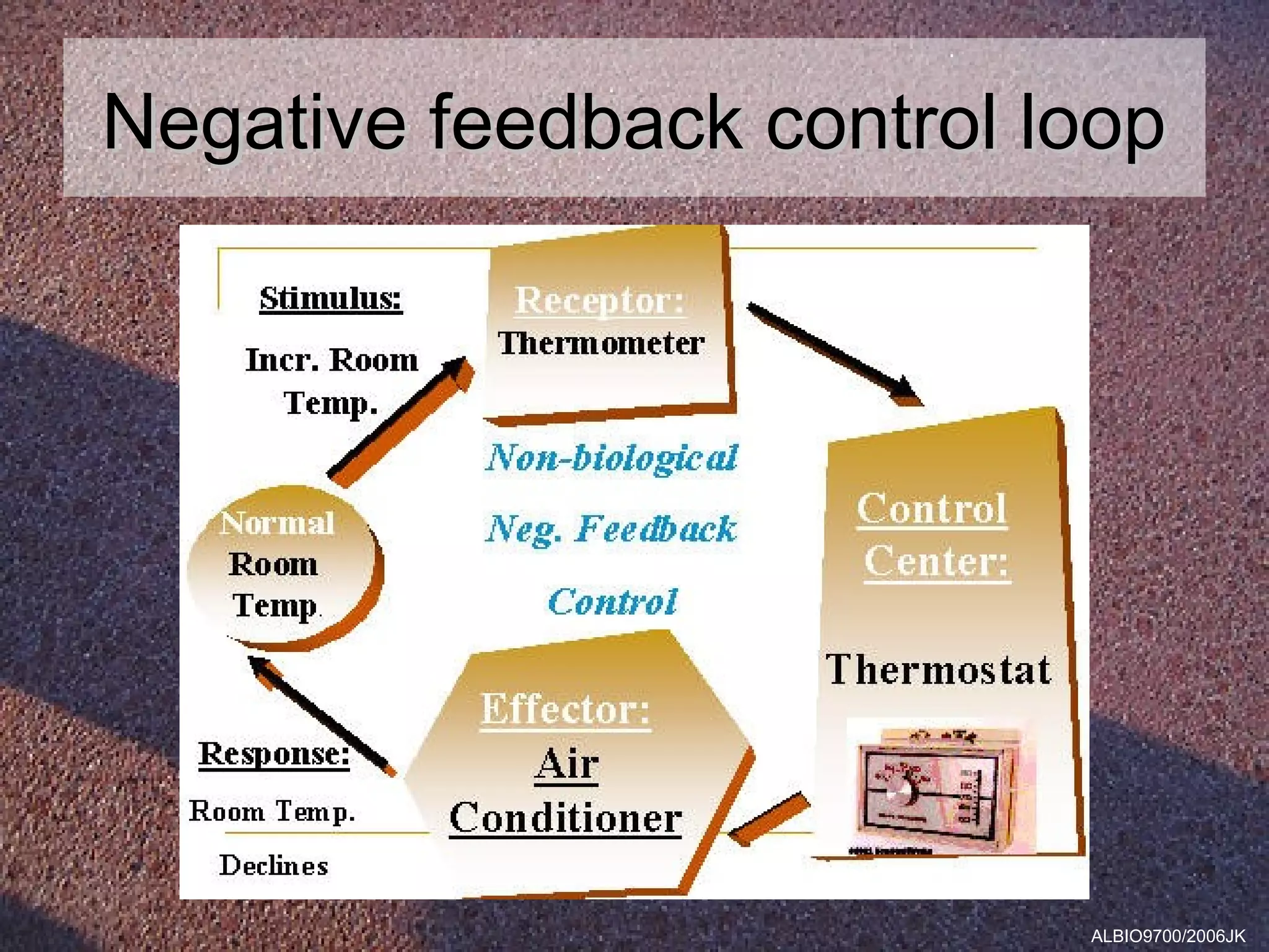 01 Importance of Homeostasis; Excretion; Control of Water | PPT