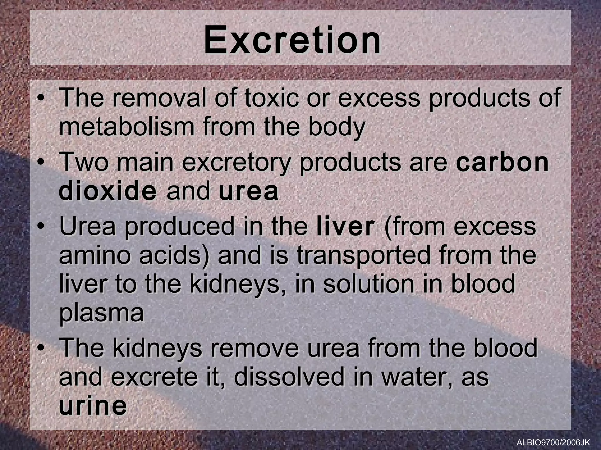 01 Importance of Homeostasis; Excretion; Control of Water | PPT