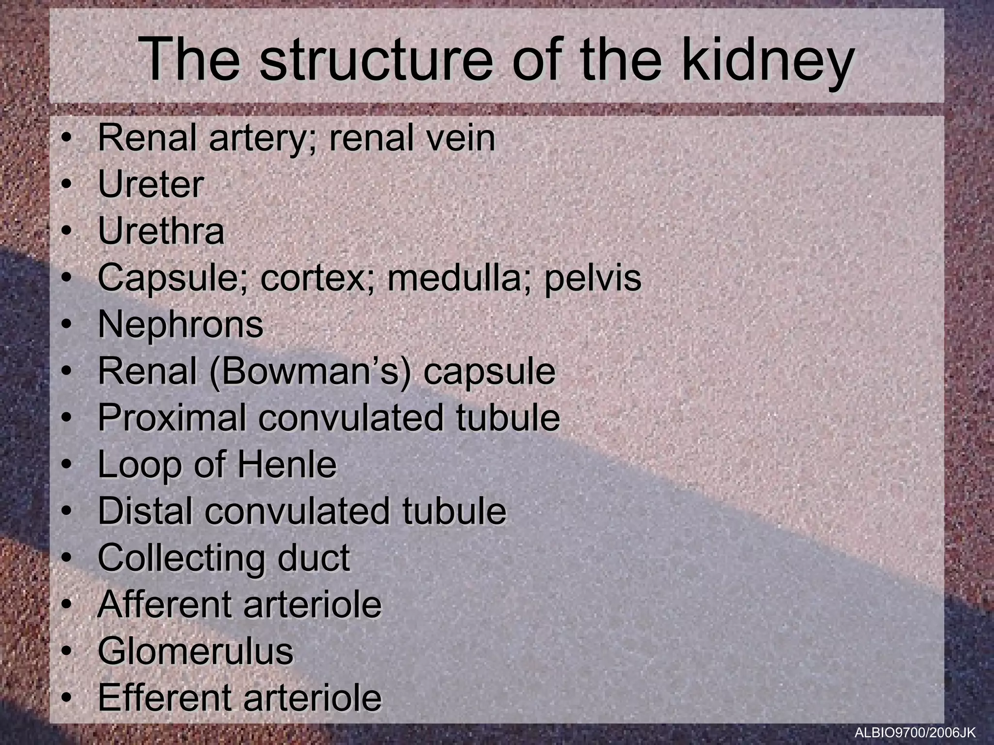 01 Importance of Homeostasis; Excretion; Control of Water | PPT