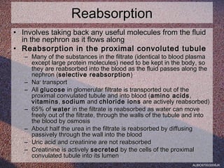 01 Importance of Homeostasis; Excretion; Control of Water | PPT