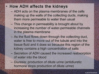 01 Importance of Homeostasis; Excretion; Control of Water | PPT