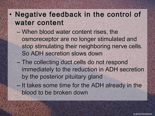 01 Importance of Homeostasis; Excretion; Control of Water | PPT