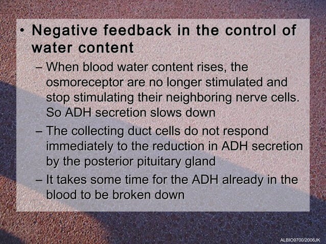 01 Importance of Homeostasis; Excretion; Control of Water | PPT