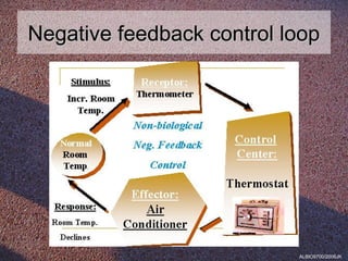 01 Importance of Homeostasis; Excretion; Control of Water | PPT