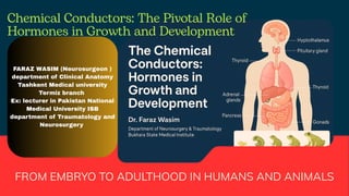 Importance of hormones in development and growth of the human and ...