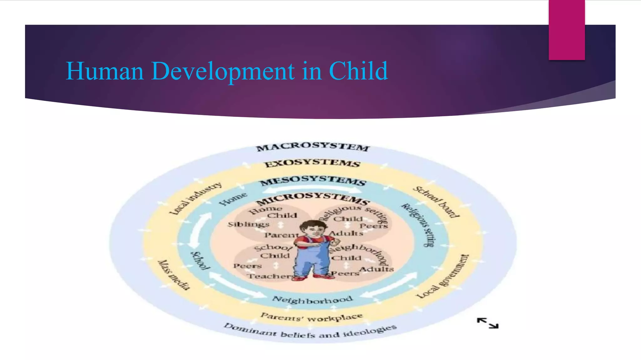 Importance of Human Devopment Kohinoor College Khultabad.pptx