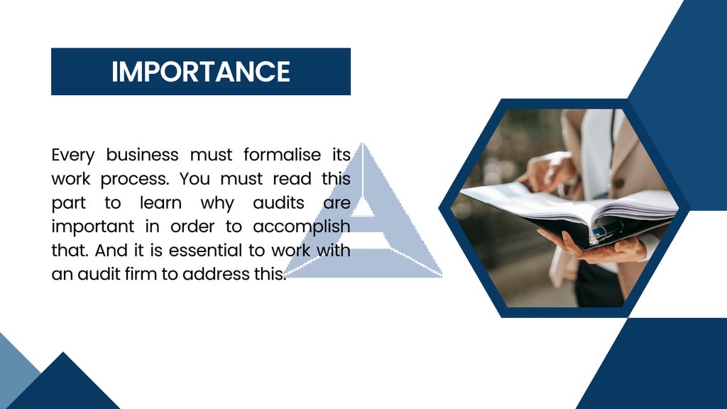 Importance of Internal Audit.pdf