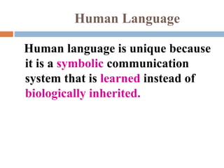 Importance of Language in Communication | PPT