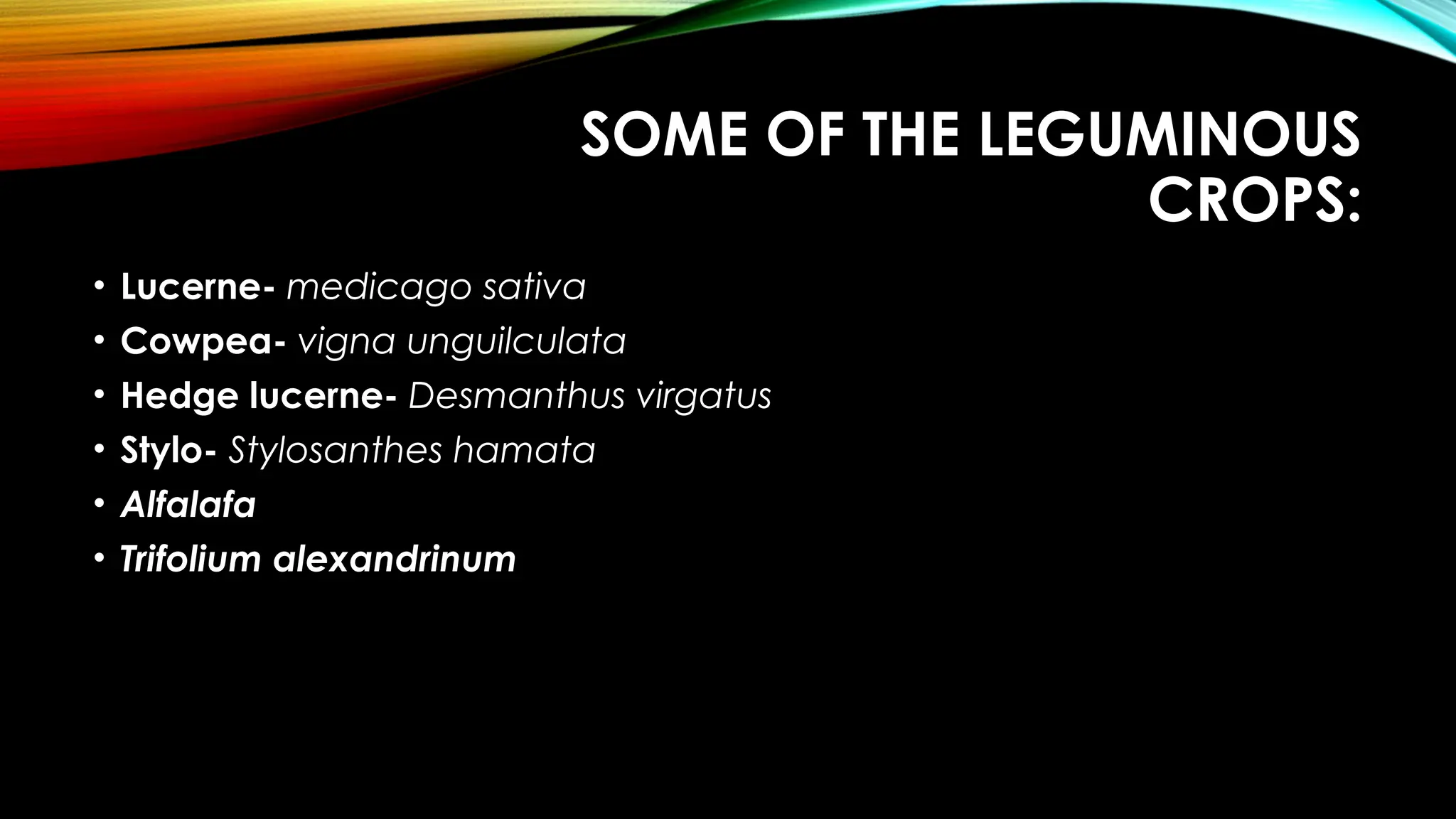 Agronomy importance of leguminous fodder.pptx