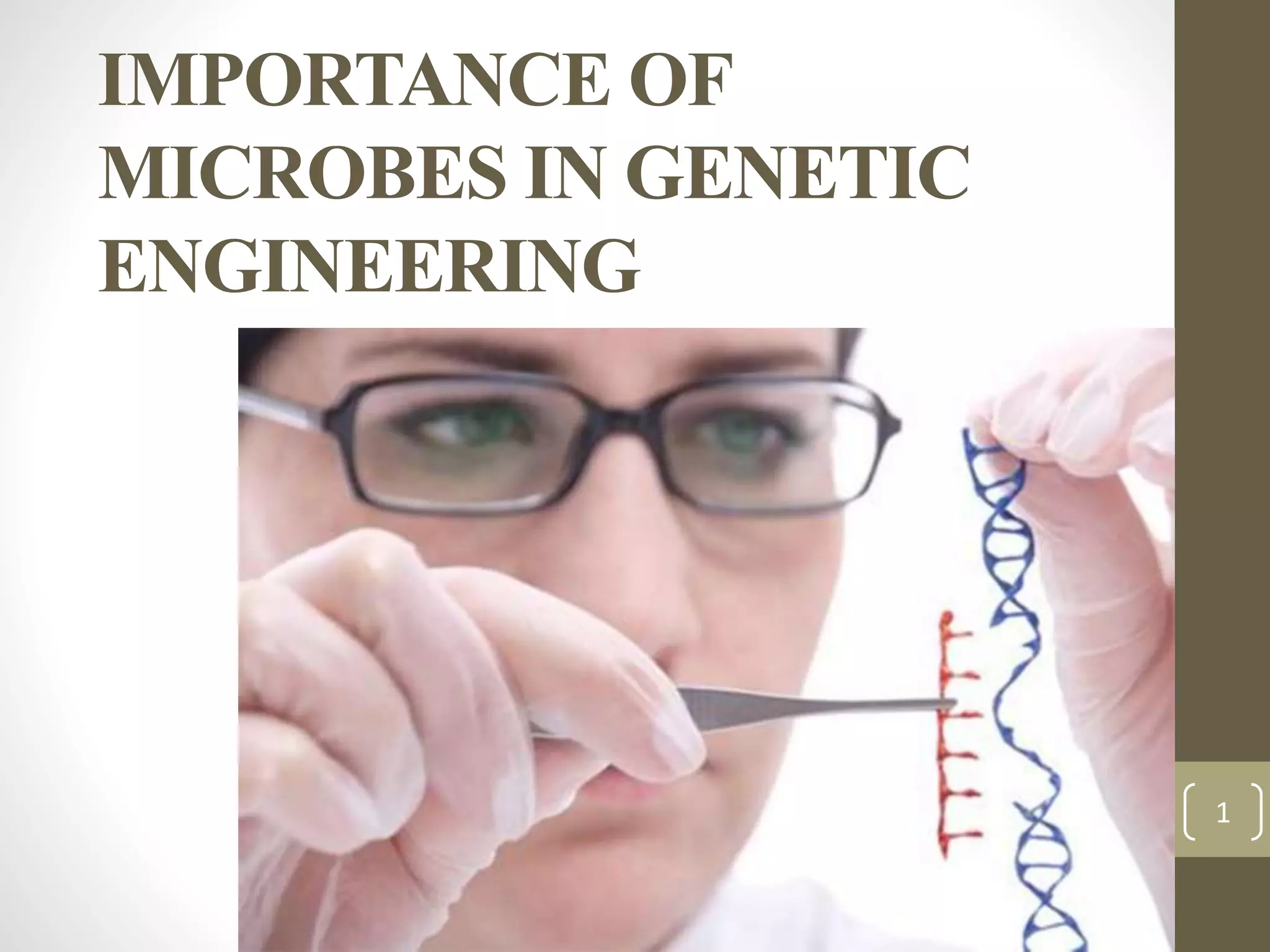 Importance of microbes in genetic engineering | PPTX
