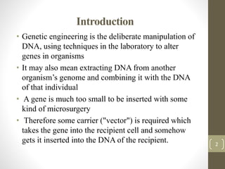 Importance of microbes in genetic engineering | PPTX