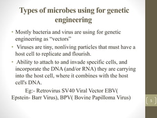Importance of microbes in genetic engineering | PPTX