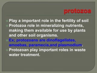 Importance of microbes in industries | PPTX
