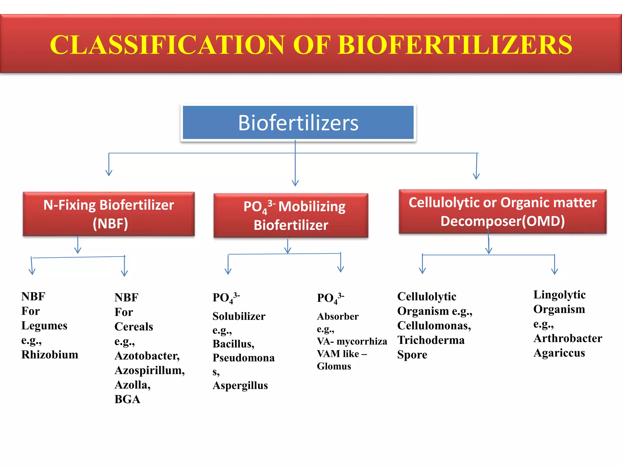 IMPORTANCE OF MICRONUTRIENT AND BIOFERTILIZERS FOR ENHANCEMENT OF PULSE ...