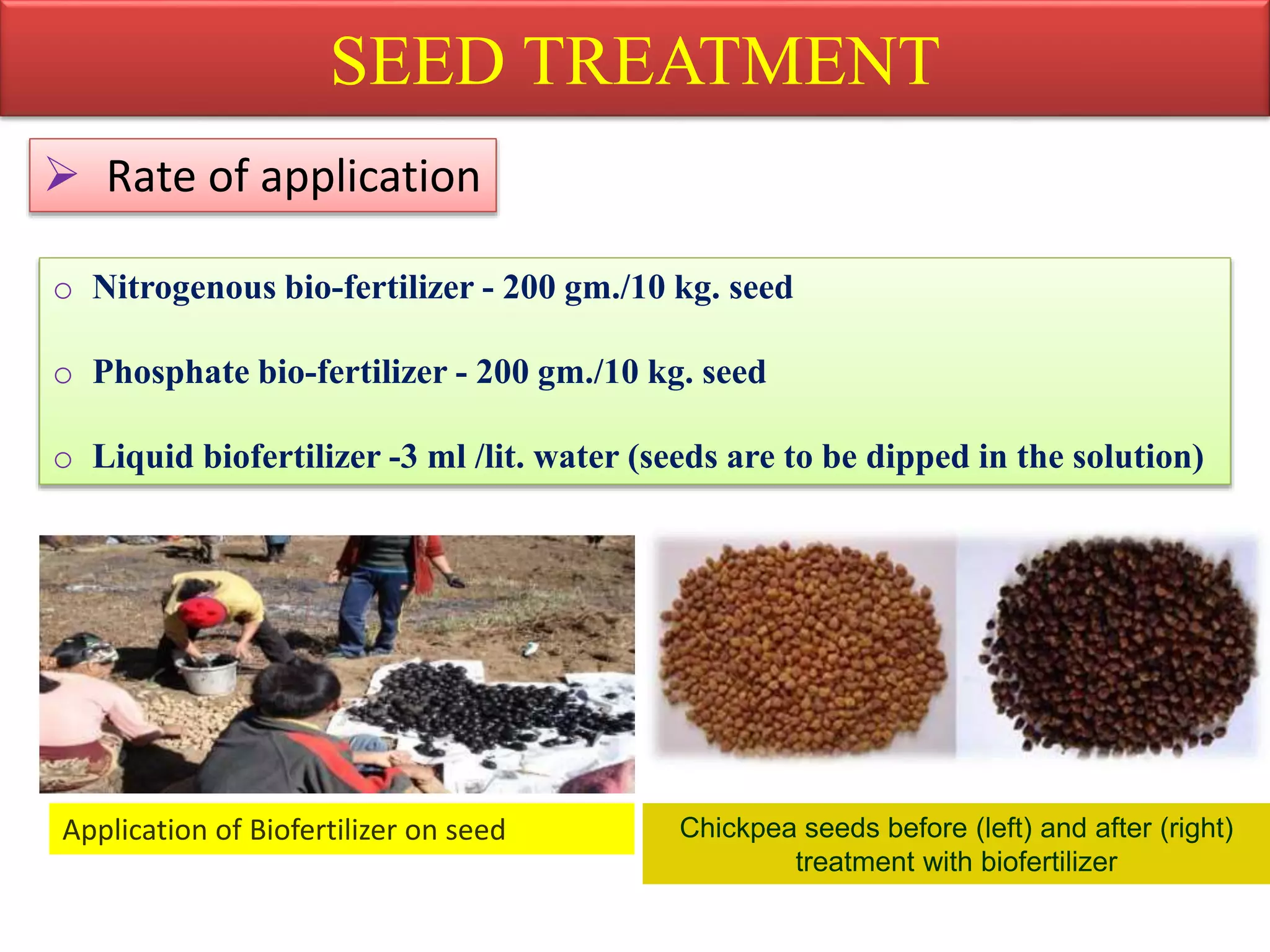 IMPORTANCE OF MICRONUTRIENT AND BIOFERTILIZERS FOR ENHANCEMENT OF PULSE ...