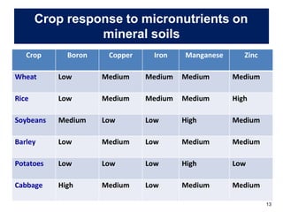 importance of micronutrients for crops.pptx