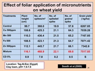 importance of micronutrients for crops.pptx