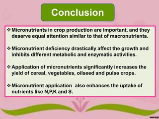 importance of micronutrients for crops.pptx