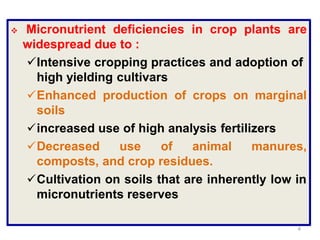 importance of micronutrients for crops.pptx