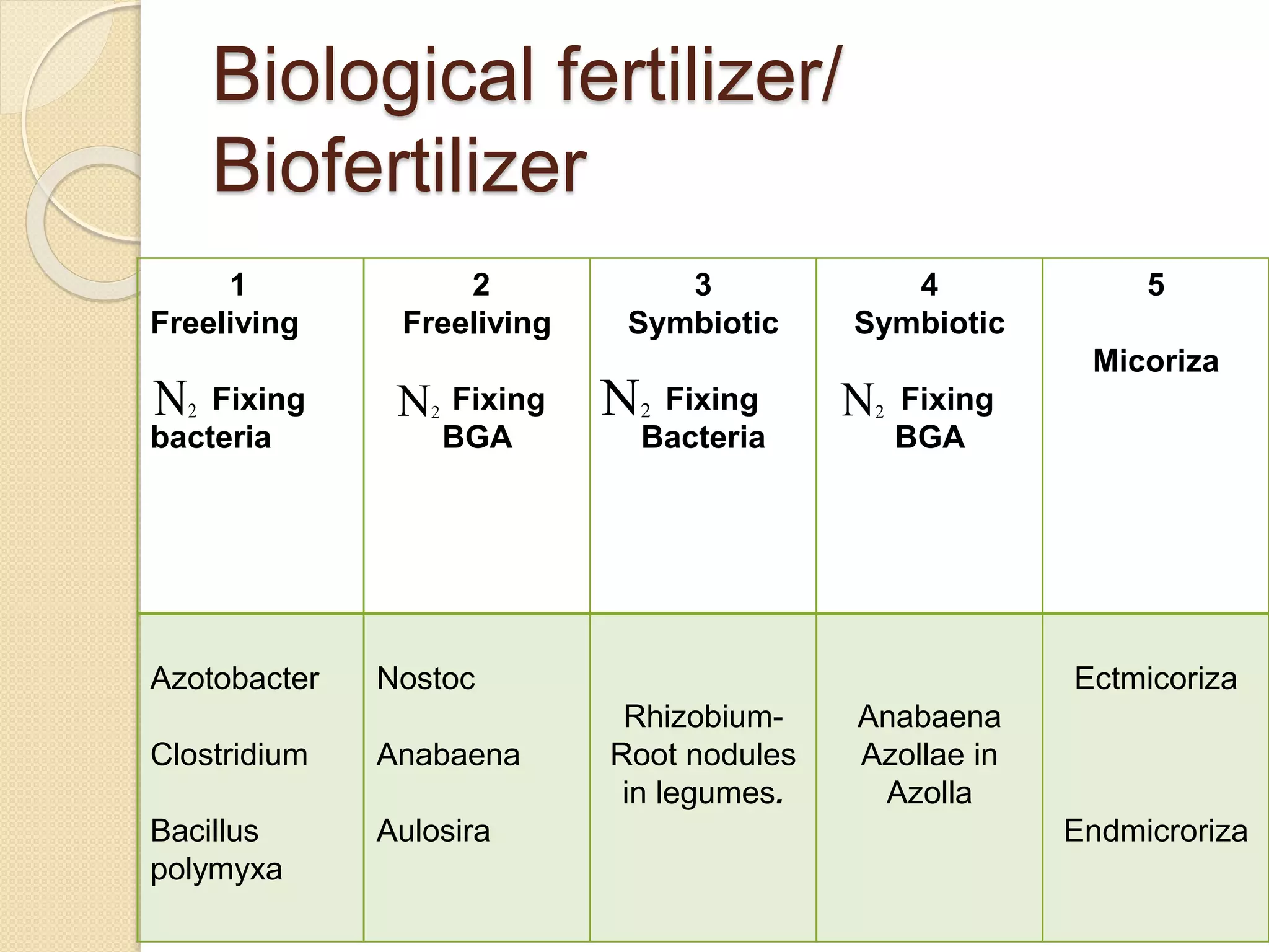 Importance of microorganism in agriculture | PPTX