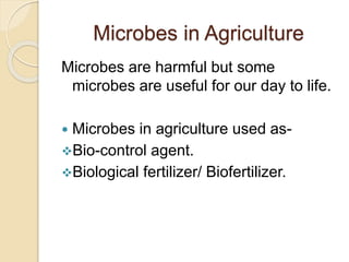 Importance of microorganism in agriculture | PPTX
