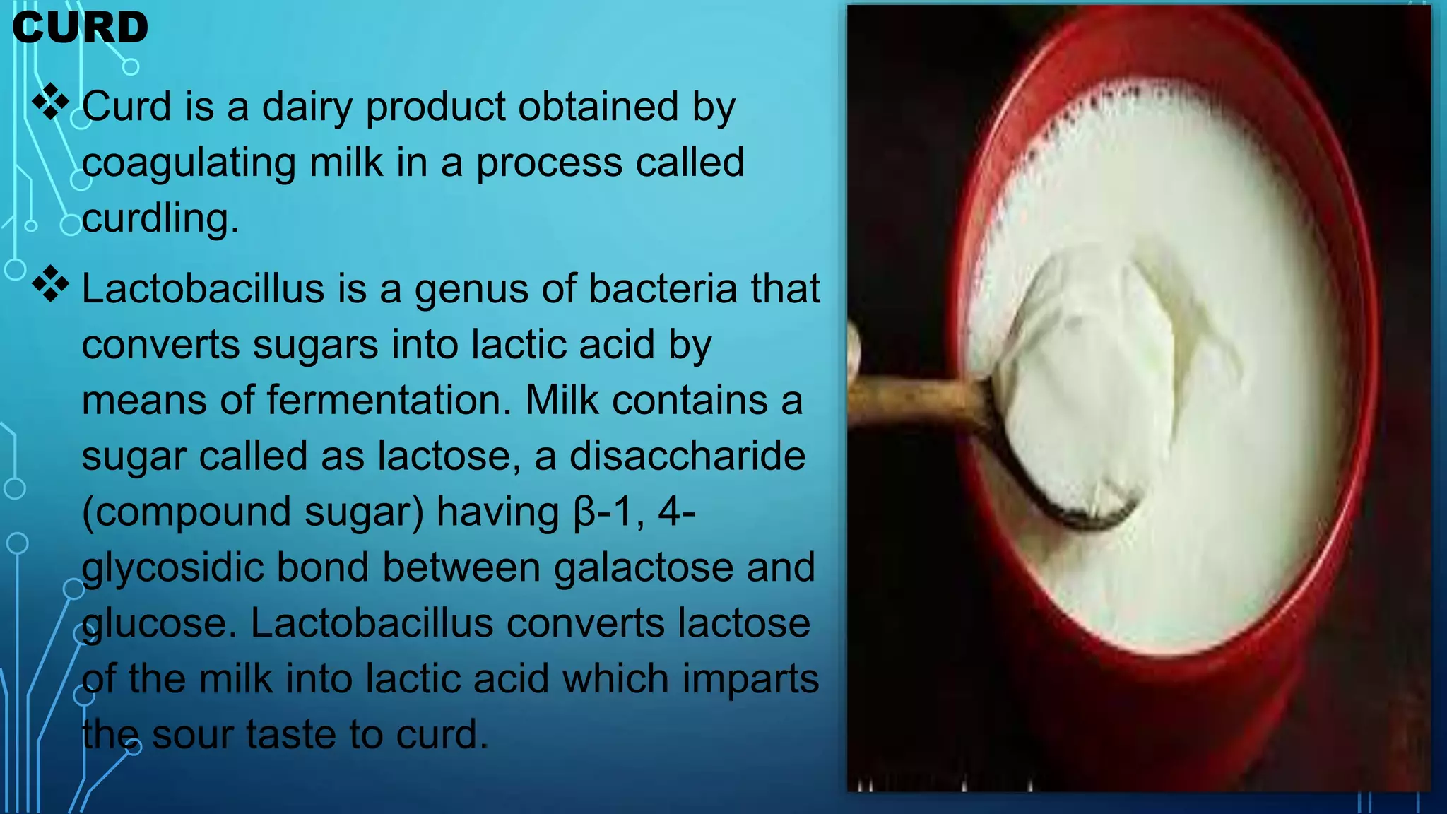 Importance of microorganism in dairy industry | PPTX
