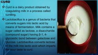 Importance of microorganism in dairy industry | PPTX
