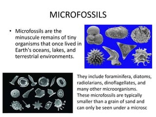 MICROPALEONTOLOGY : Introduction and its importance.pptx