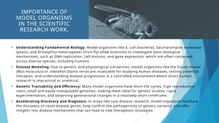 Importance of Model Organisms in the scientific research BIO.pptx