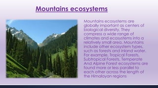 Importance of mountains | PPTX