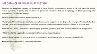 Importance of naamrupa vigyan | PPTX
