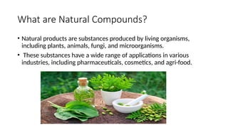 Importance of Natural Compounds in Daily Life.pptx