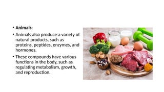 Importance of Natural Compounds in Daily Life.pptx