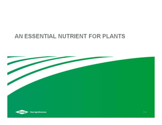 Importance of nitrogen stabilization | PDF
