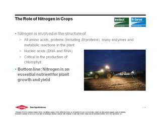 Importance of nitrogen stabilization | PDF