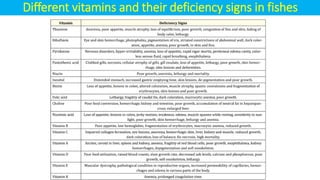 Importance of nutrion in fish disease resistance by B.pdf