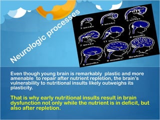 Importance of nutrition on development of brain | PPSX