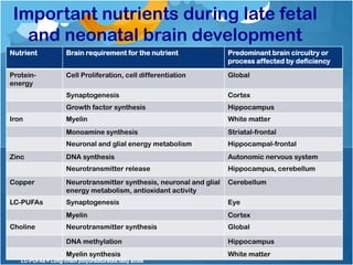 Importance of nutrition on development of brain | PPSX