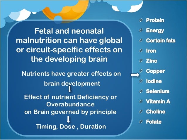 Importance of nutrition on development of brain Importance of nutrition on development of brain