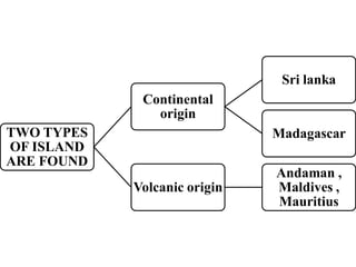 Importance of ocean | PDF