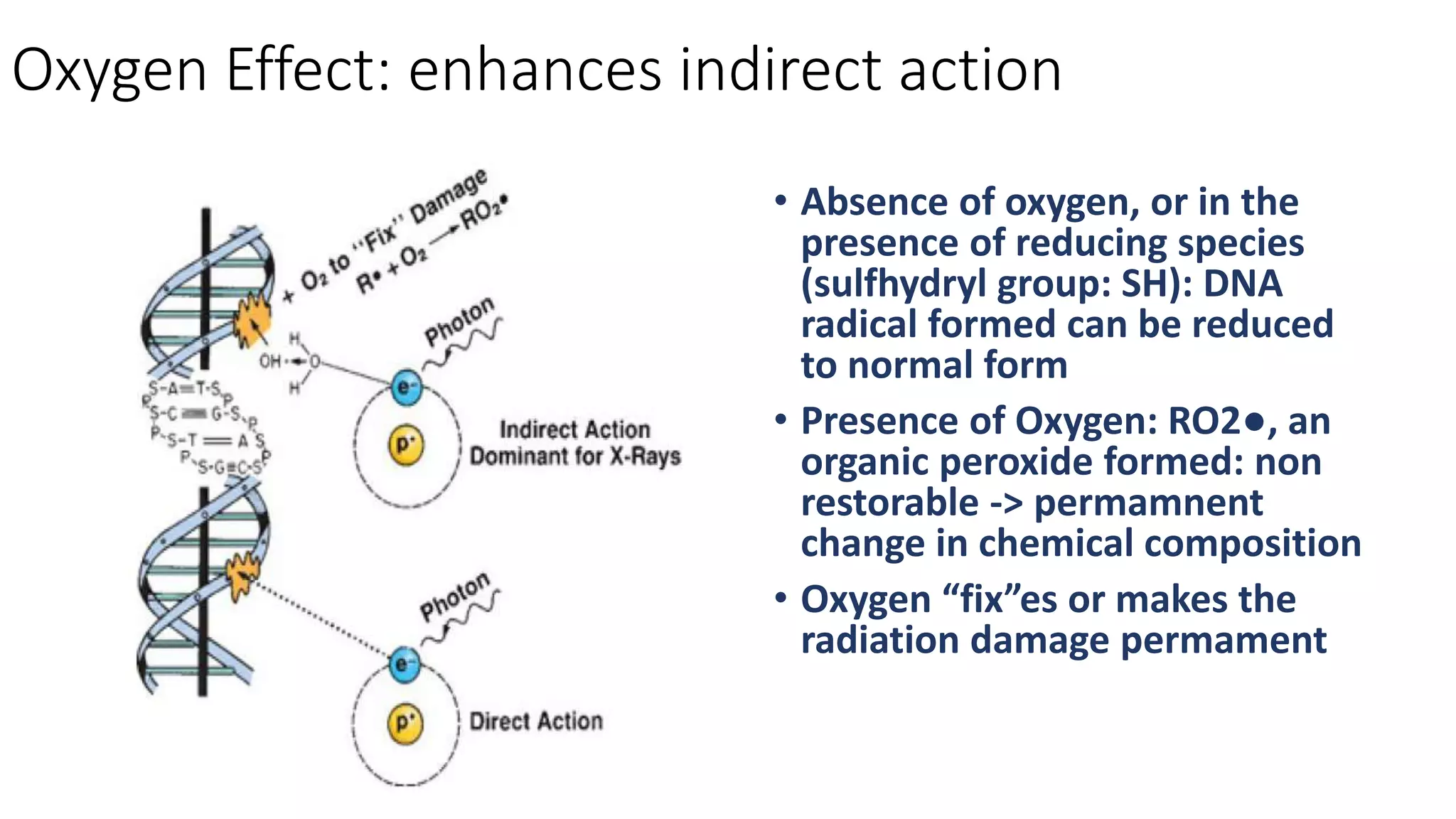 Importance of oxygen in radiotherapy | PPTX