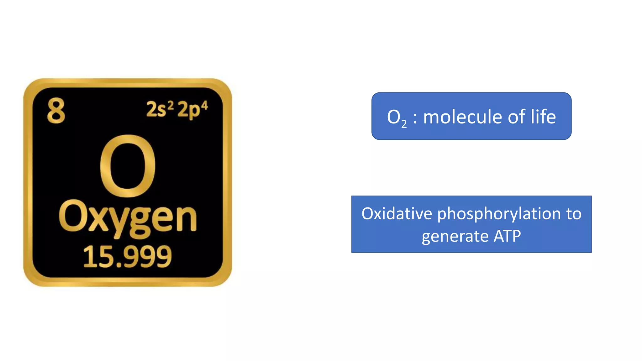 Importance of oxygen in radiotherapy | PPTX
